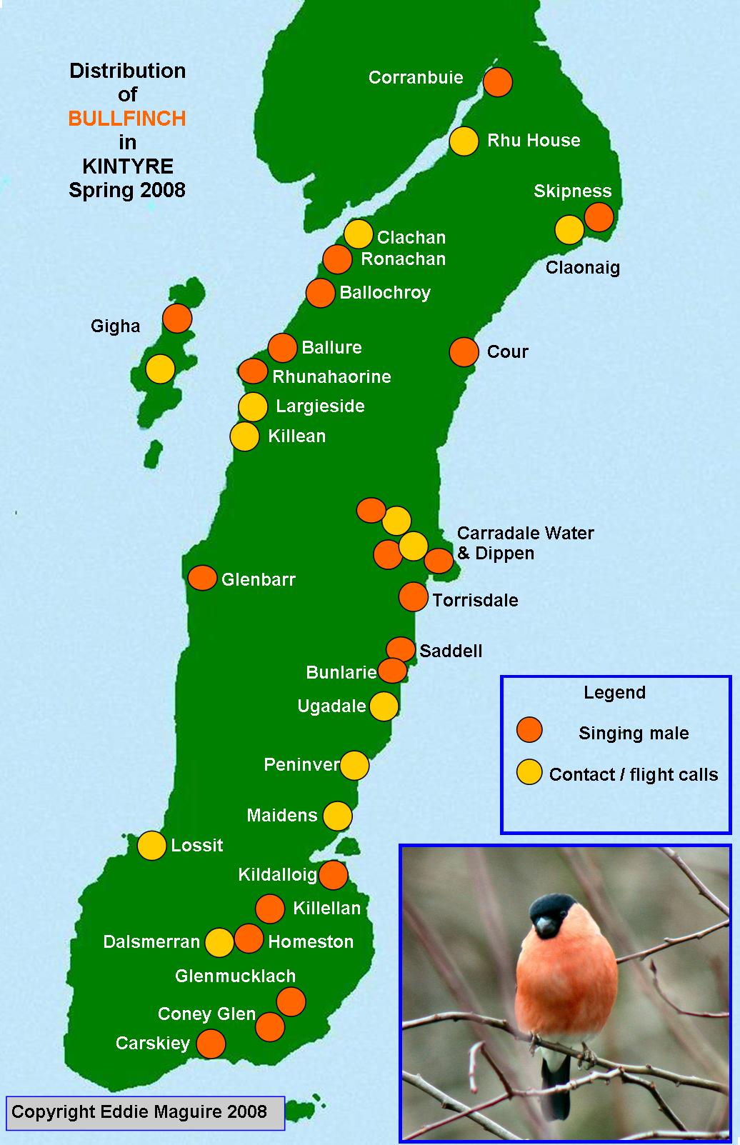 Machrihanish seabird and Wildlife Observatory