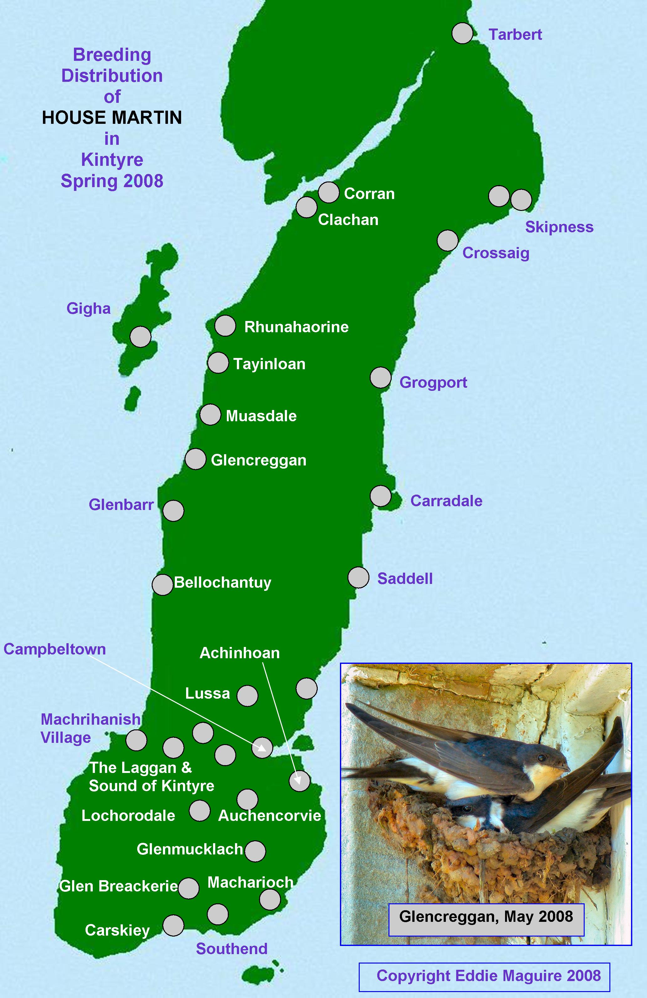 Machrihanish seabird & Wildlife Observatory